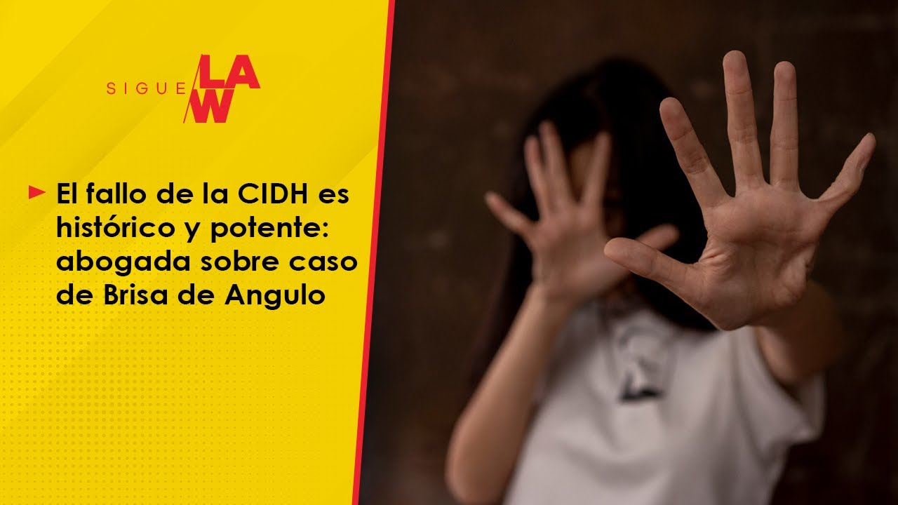 El fallo de la CIDH es histórico y potente: abogada sobre caso de Brisa ...