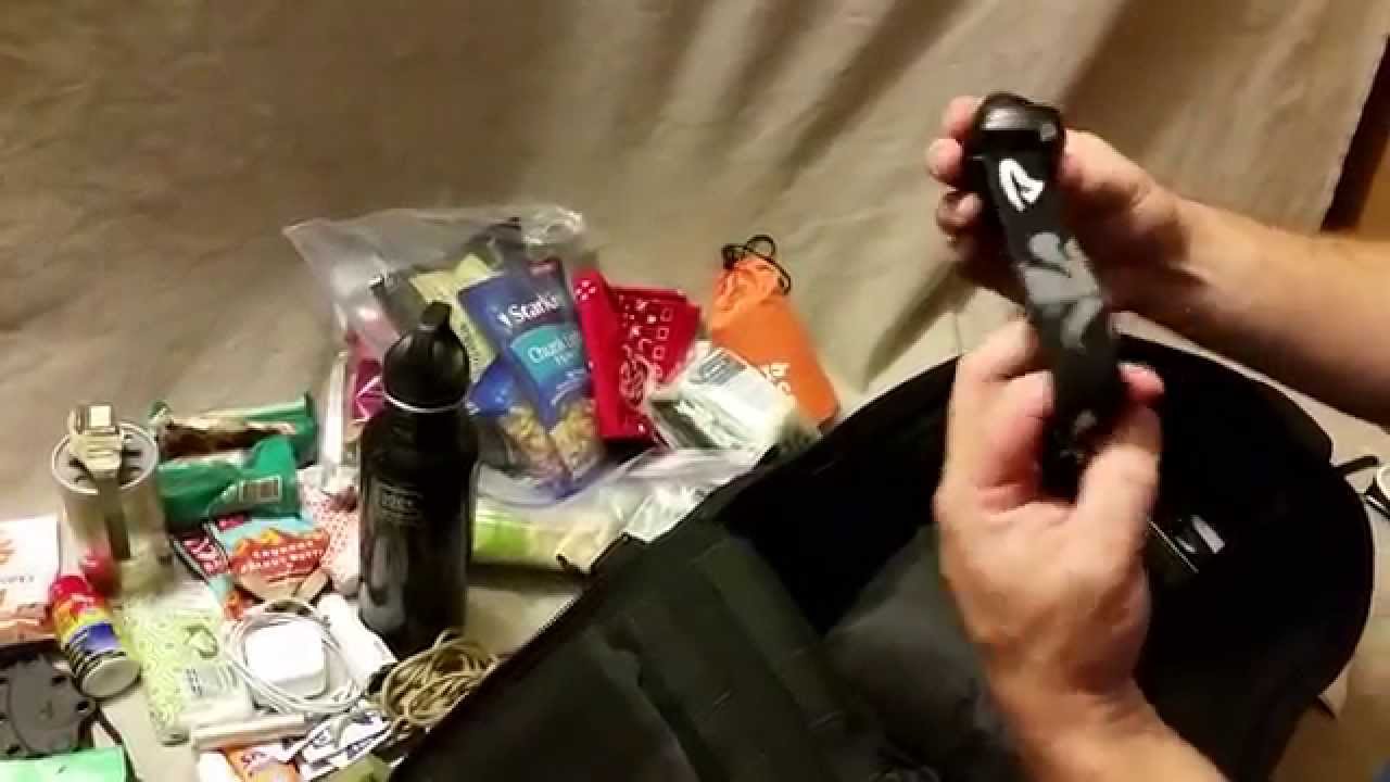 ATS RAID II Pack Dump #2 - YouTube