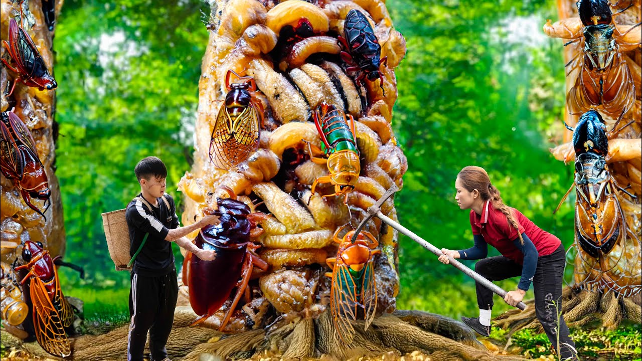 Surviving After Harvest Scary Devil Bug - How To Prepare Scary Larvae ...