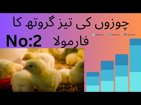 Formula number: 2 for rapid growth of chicken 🐔 and chicks 🐥🐣 - YouTube