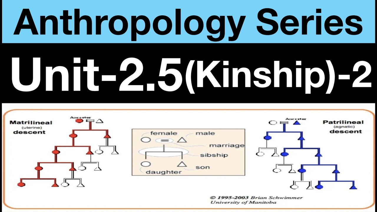 Unit 2 5 Part 2 Filiation And Complementary Filiation Anthropology unit-2-5-part-2-filiation-and-complementary-filiation-anthropology