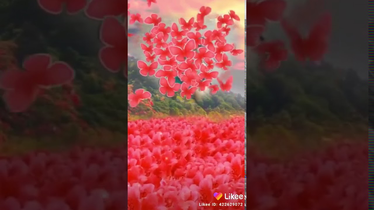 B r bbbbnn - YouTube