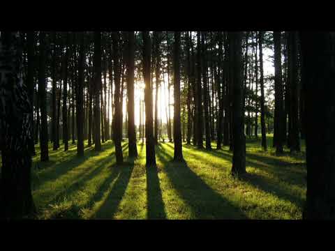 Sezen Aksu - Deli Divane Full Hd Audio 2021