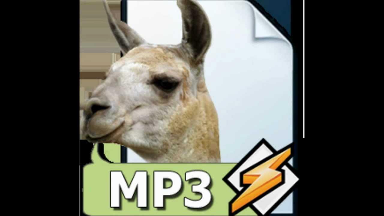 Winamp, it really whips the llama's ass - YouTube