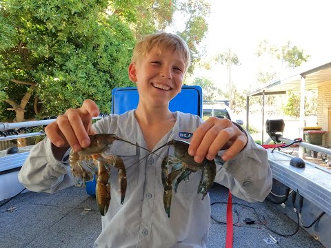 Australia Day successfully hunting yabbies in the tinny on the Murray ...