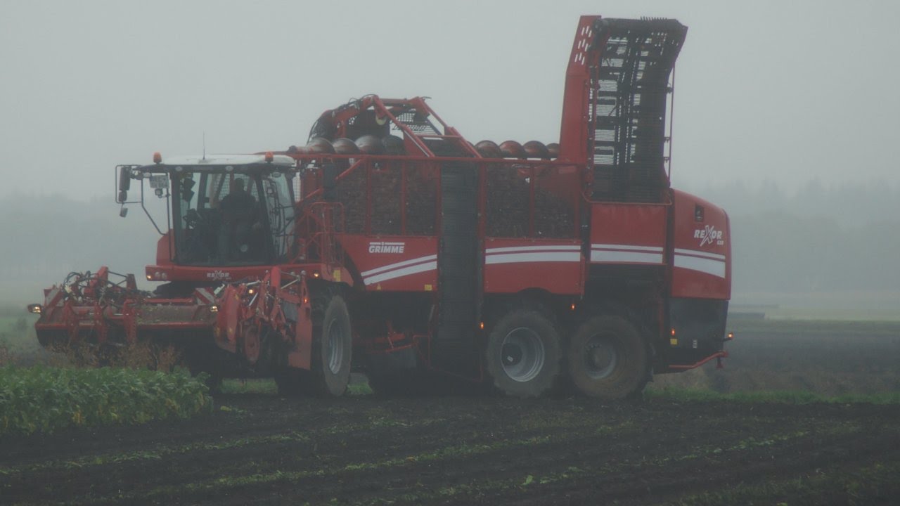 Grimme Rexor 630 bietenrooier tijdens demo in de motregen Trekkerweb ...