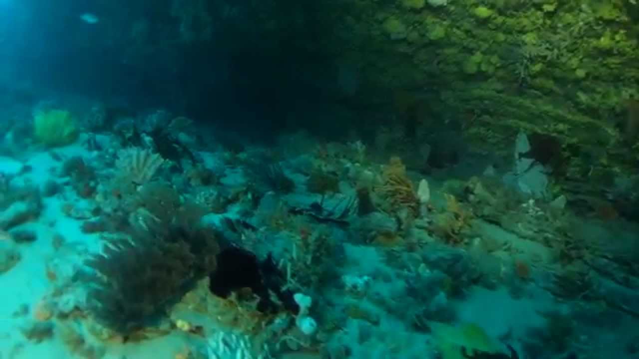 devils drop - YouTube