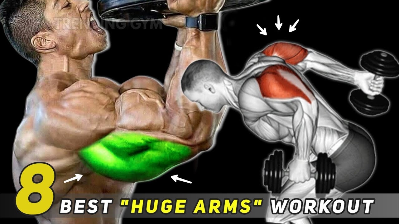8 Best Exercises To Build Huge ARMS - Triceps Workout Routine - YouTube