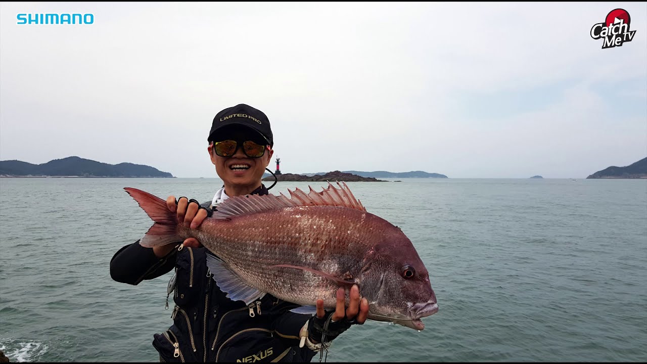 군산 고군산도 관리도 참돔 원투낚시(land based snapper fishing in KOREA)(using my ...