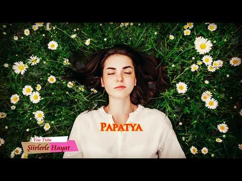 Hiraizerdüş papatya