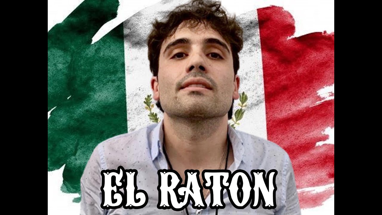 SOY EL RATON CODIGO FN - YouTube