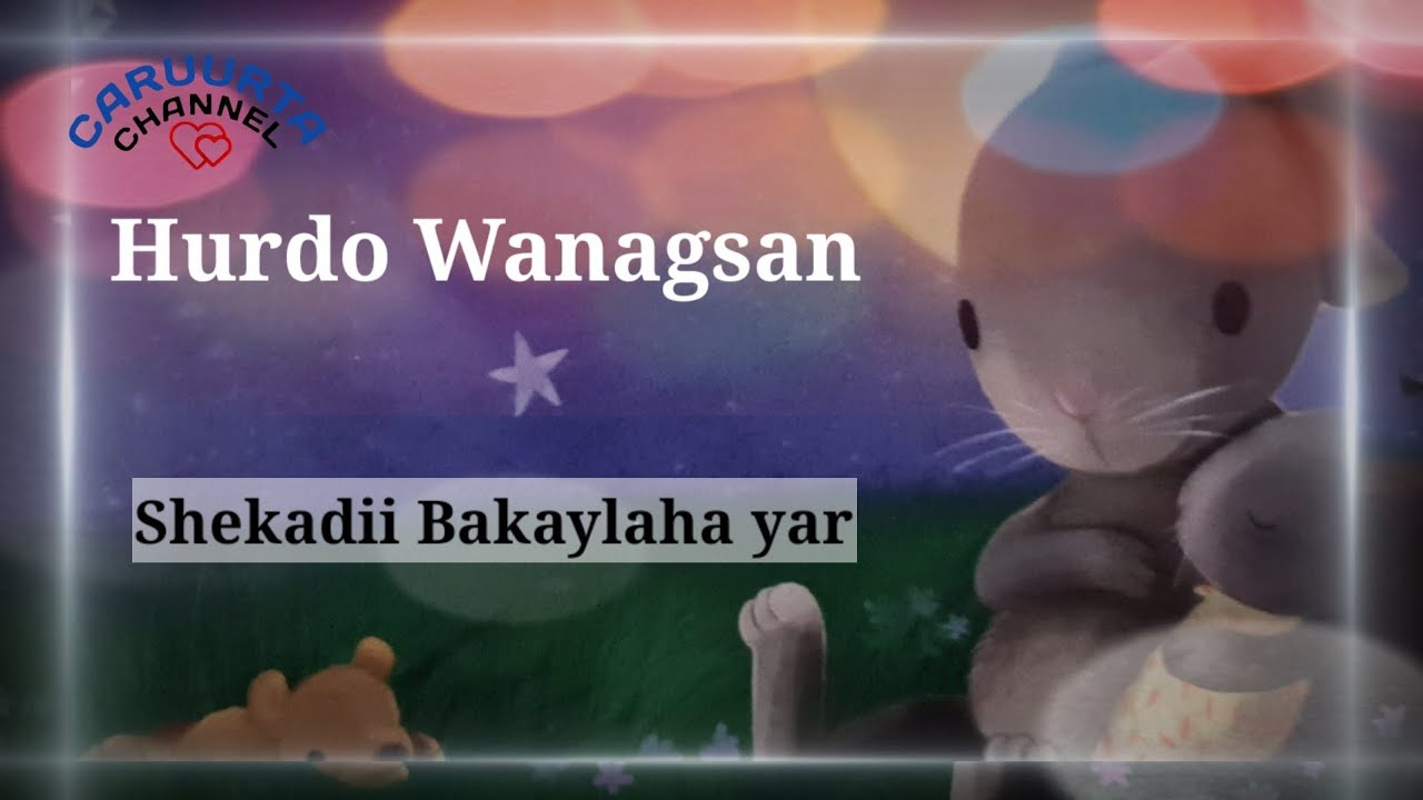 sheko carureed ( Bakayle yar iyo Hoyadii) 2023 - YouTube