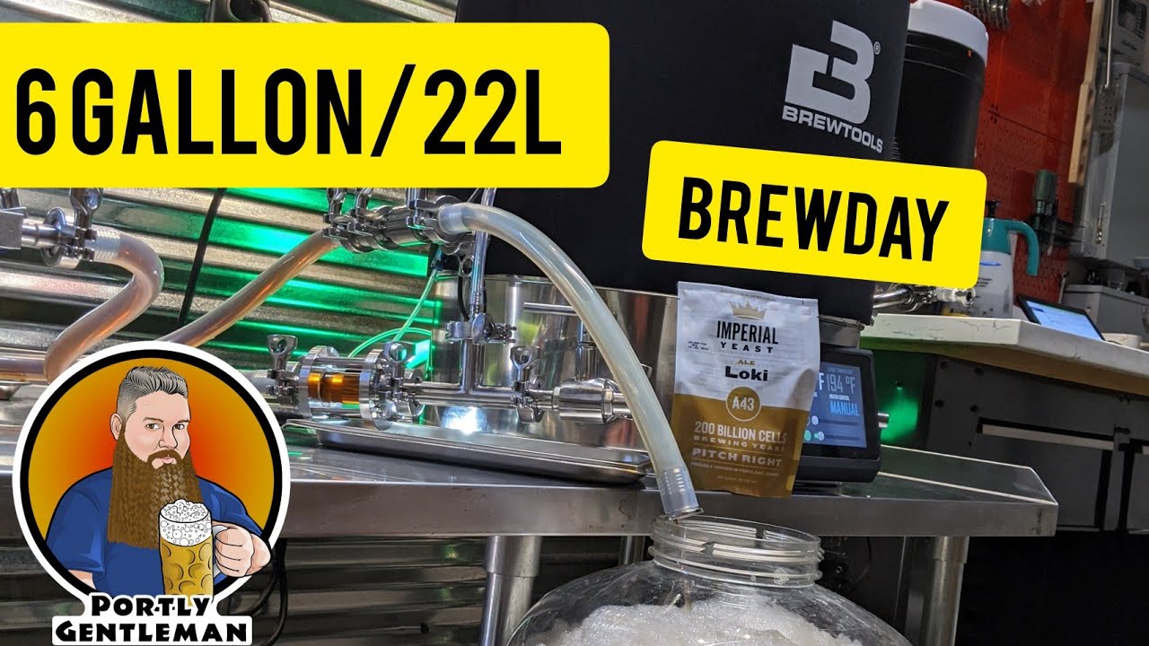 Brewtools B40 B80pro Brewing System 6 gallon/22 L 4.5 gallons/17 L fly ...