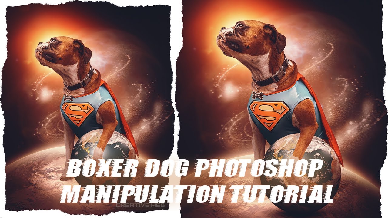 FUN BOXER DOG PHOTOSHOP MANIPULATION TUTORIAL - MAKE A DOG POSTER BY ...
