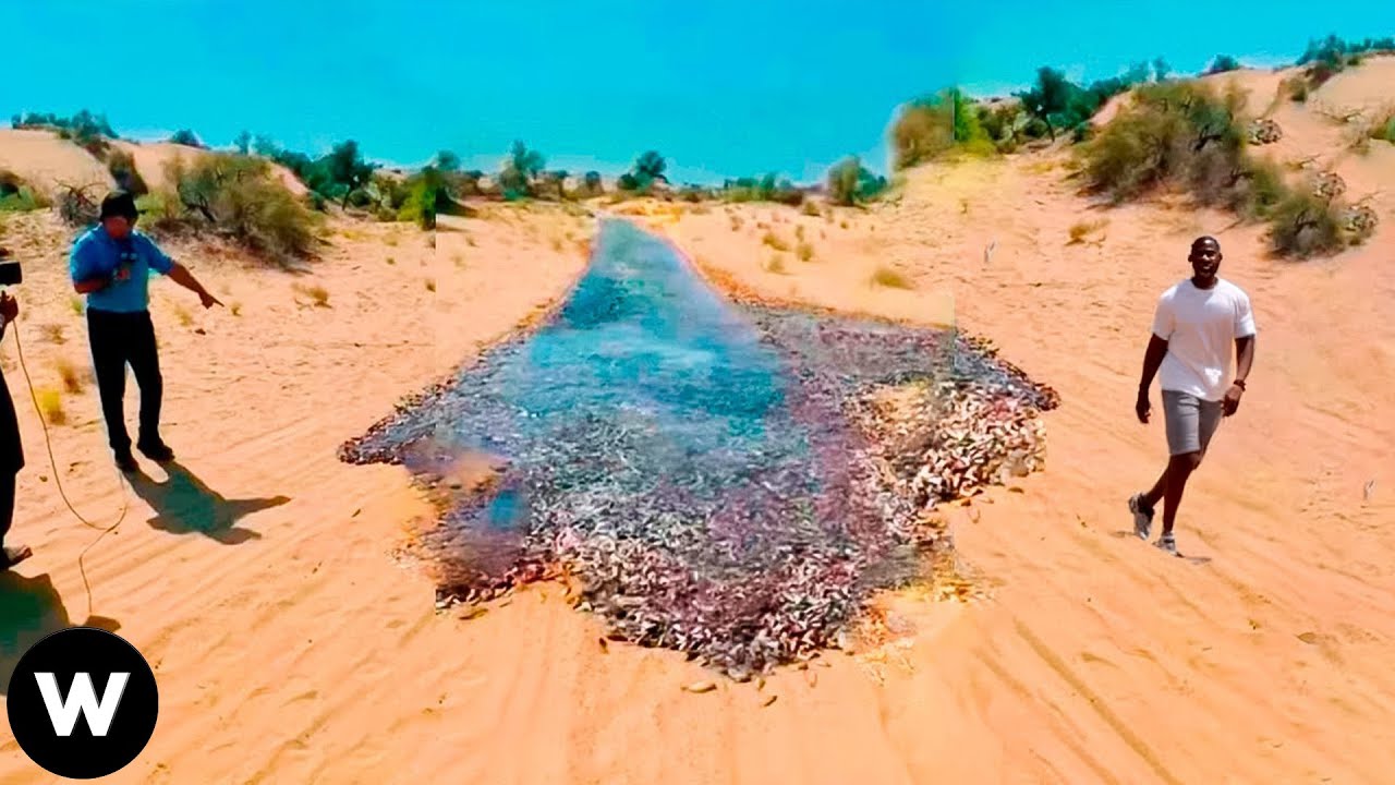 Incredible Moments Caught On Camera | Best Of Week - YouTube