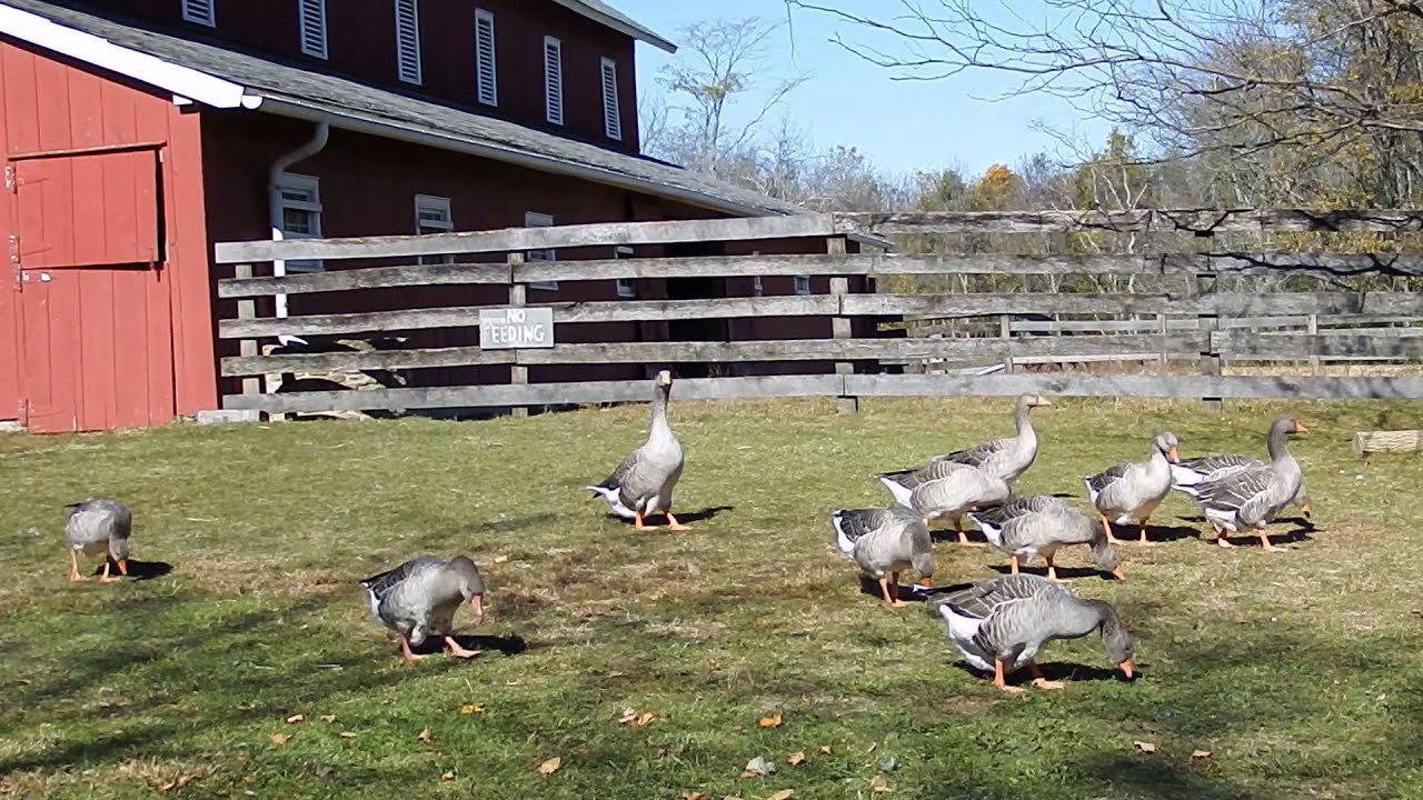 Slate Run Historical Farm - YouTube