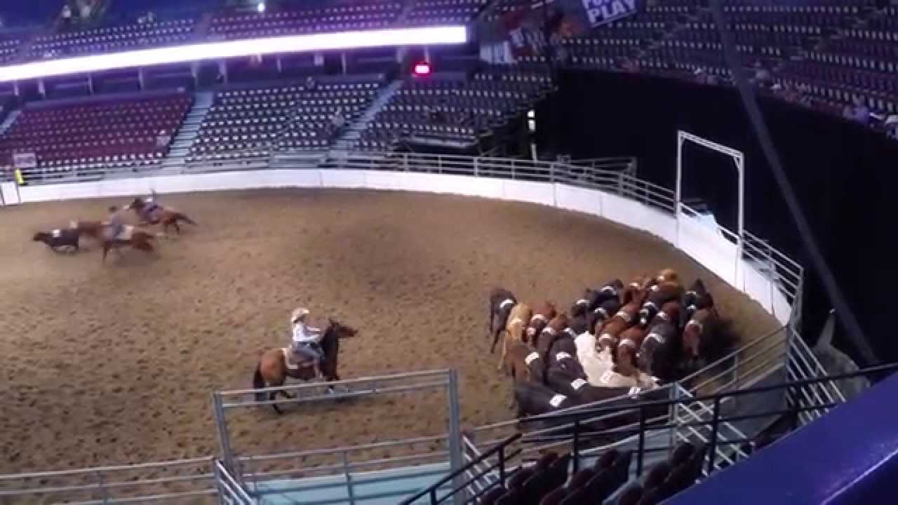 Jaycees 2014 Calgary Stampede Team Penning Open Class Finals - YouTube