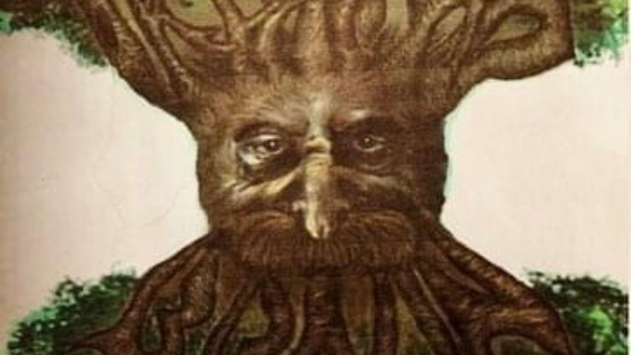 Treebeard Brown From Home LIVE - YouTube