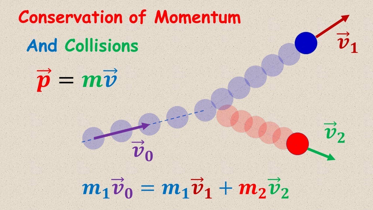SPS 09-01 Momentum Conservation and Collisions - YouTube