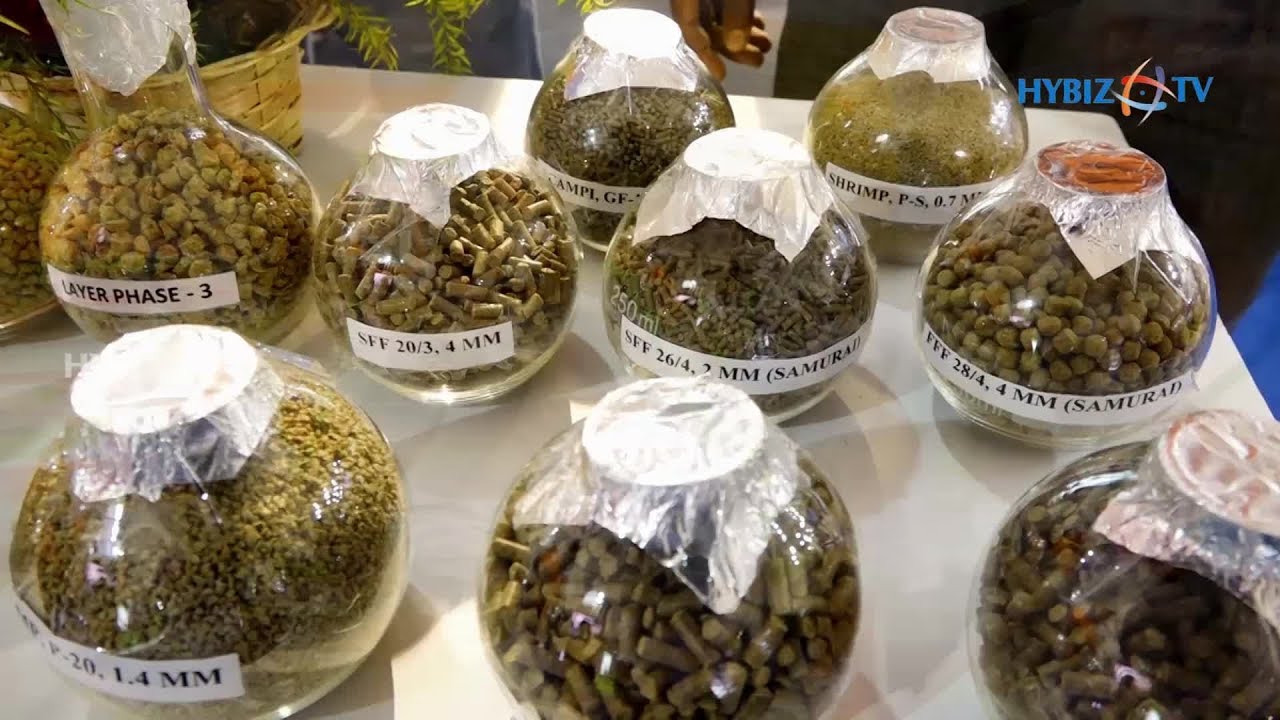 Poultry Feed , Table Egg, Chicken Drumstick | Shalimar Group | Kolkata ...