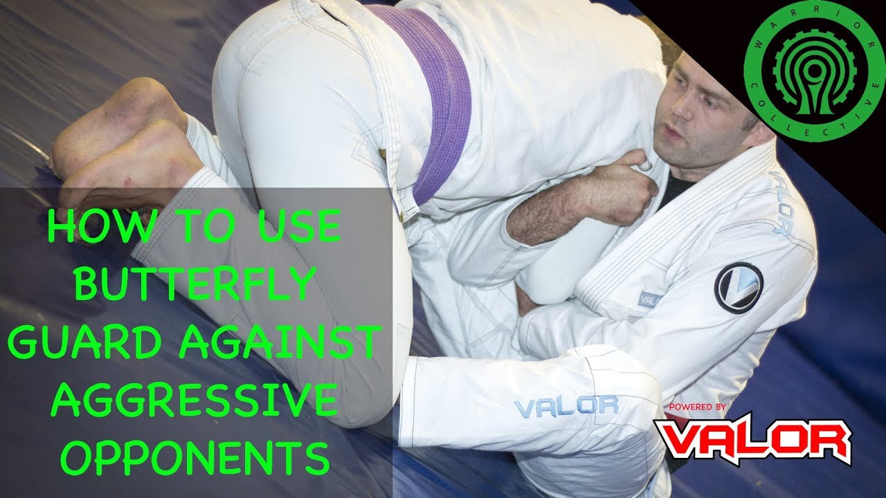 BJJ How to use the Butterfly Guard against an Aggressive Opponent - YouTube