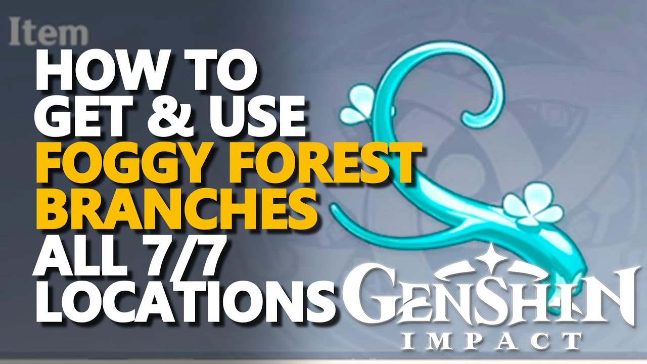 All Foggy Forest Branches Locations Genshin Impact - YouTube