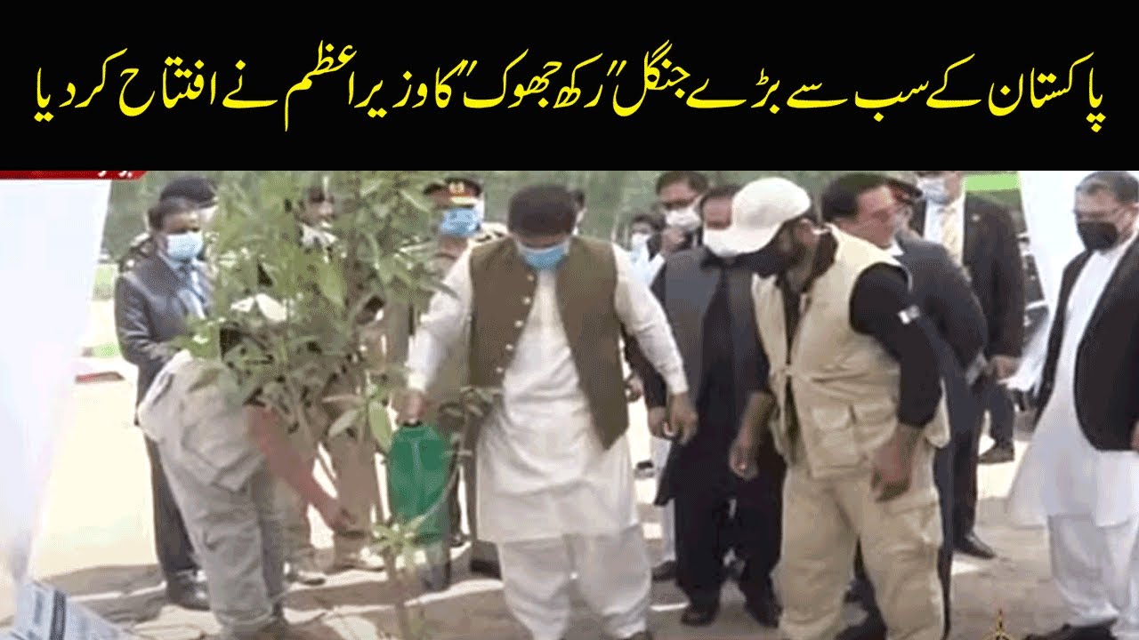 Biggest Jungle of Pakistan | PM Imran Khan launches Pakistan's first ...