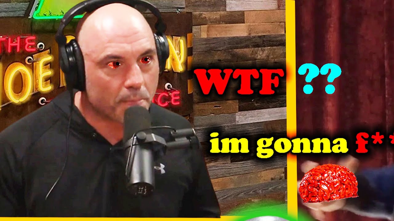 Joe Rogan Was Mind Blown After What He Said! - YouTube
