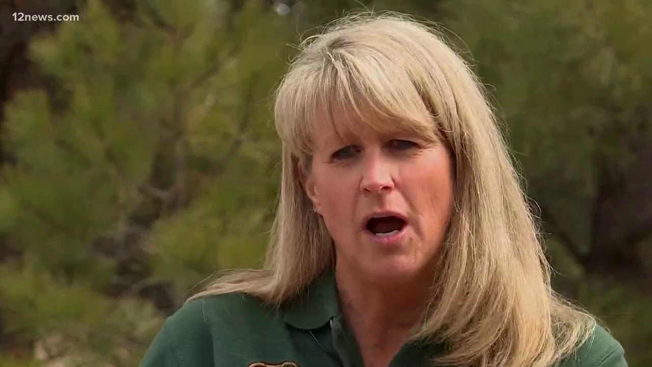 Over 30 cases of rabies confirmed in Arizona for 2018 - YouTube