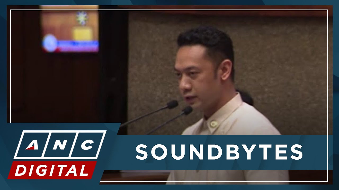 Rep. Suan: 'The Working Congressman' not mine, we've tried to mass ...