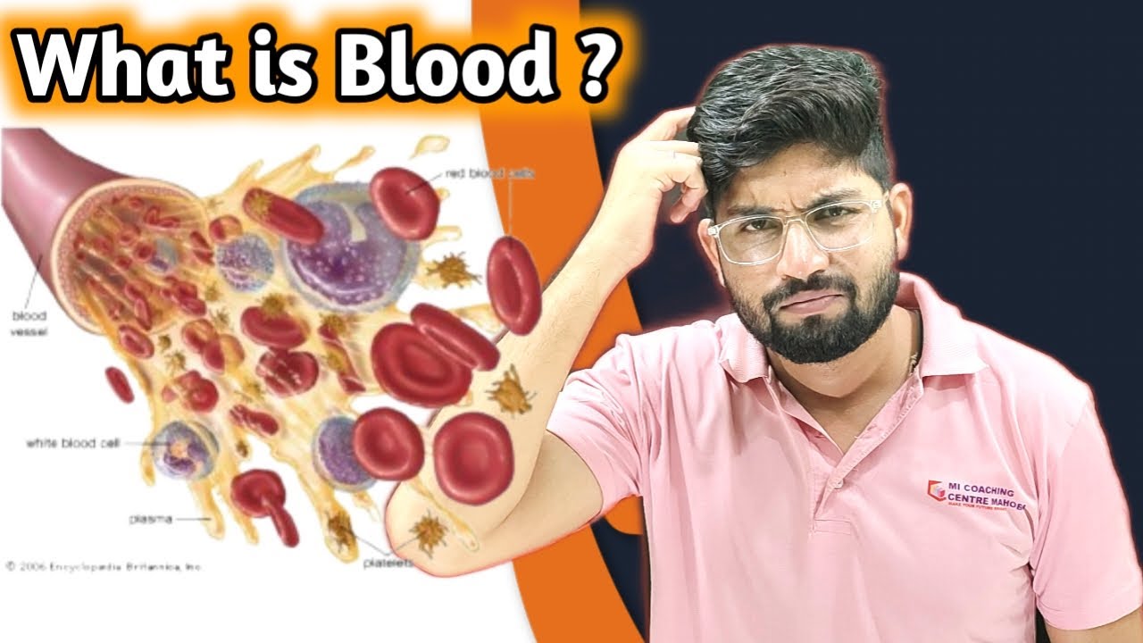 what is Blood ? || Part of blood || Explanation About Blood - YouTube