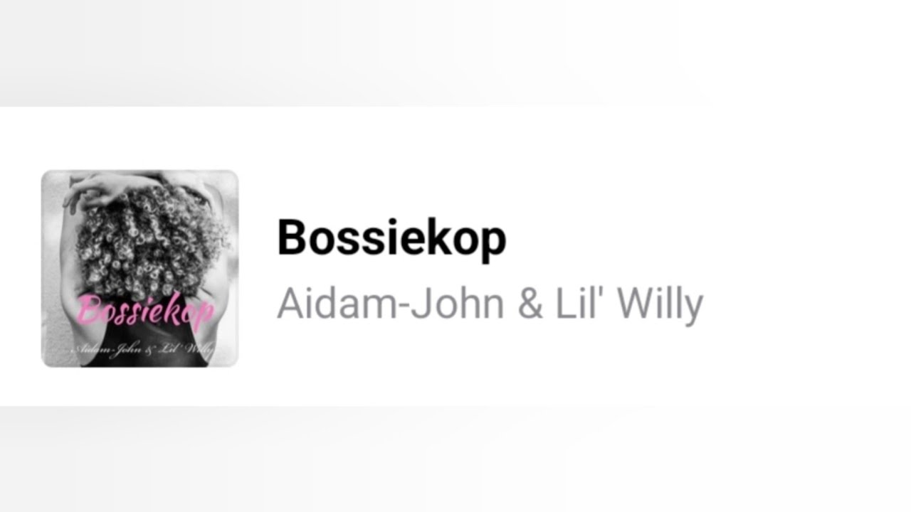 Aidam-John & Lil Willy - BossieKop. (Lyrics) - YouTube
