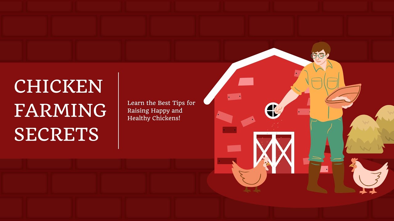 New Farm || Cattle Farm || Hens farm || Working Hard for Success ...