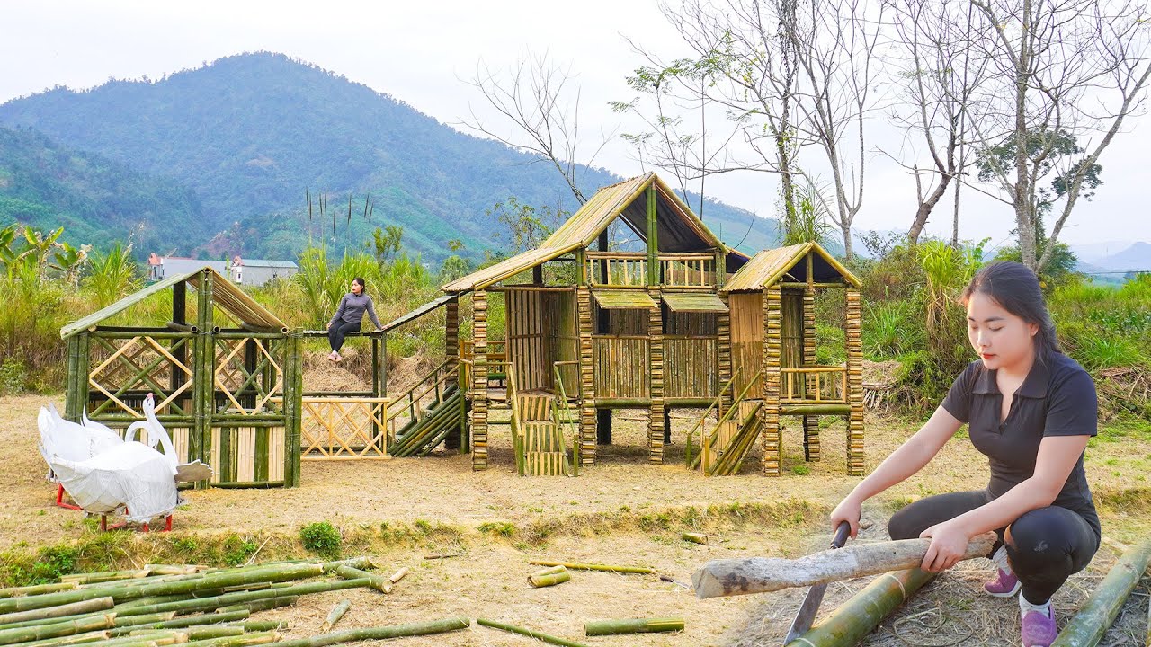 Young Girl Building Bamboo House Off Grid - Young Girl Living Alone ...