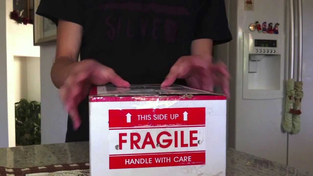 Rare Turtle Unboxing from TurtleStation.com - YouTube