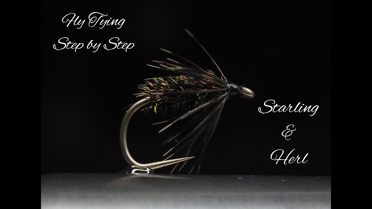 Starling and Herl - Fly Tying Step by Step - YouTube