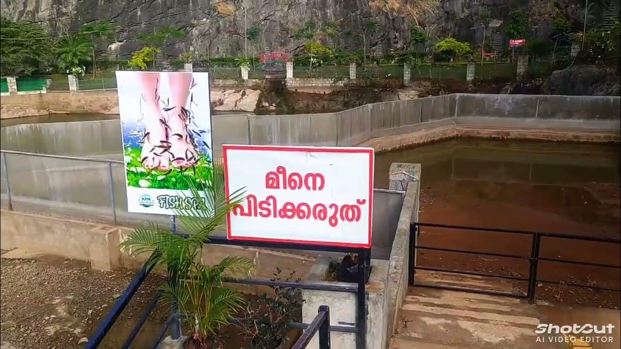 Inside the KPM Tourist Villages and Fish Farm | #Vlog | Kpm fish farm ...