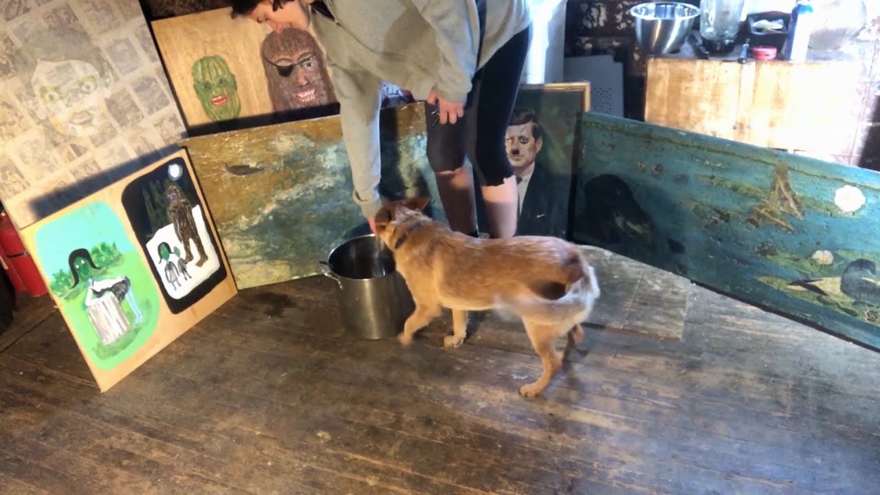 How to teach dog to Recycle - YouTube