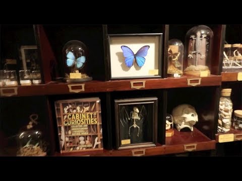 SEATTLE Travel Guide: Ballyhoo Curiosity Shop - YouTube