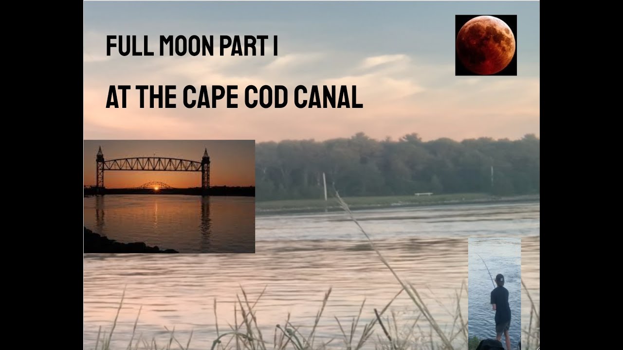 BIG BLUEFISH at the CAPE COD CANAL (JUFM D1) - YouTube