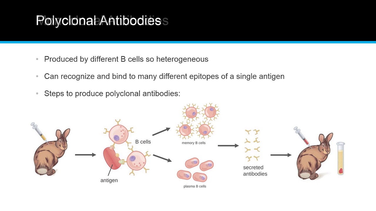 Pre-lab Video 9B - YouTube