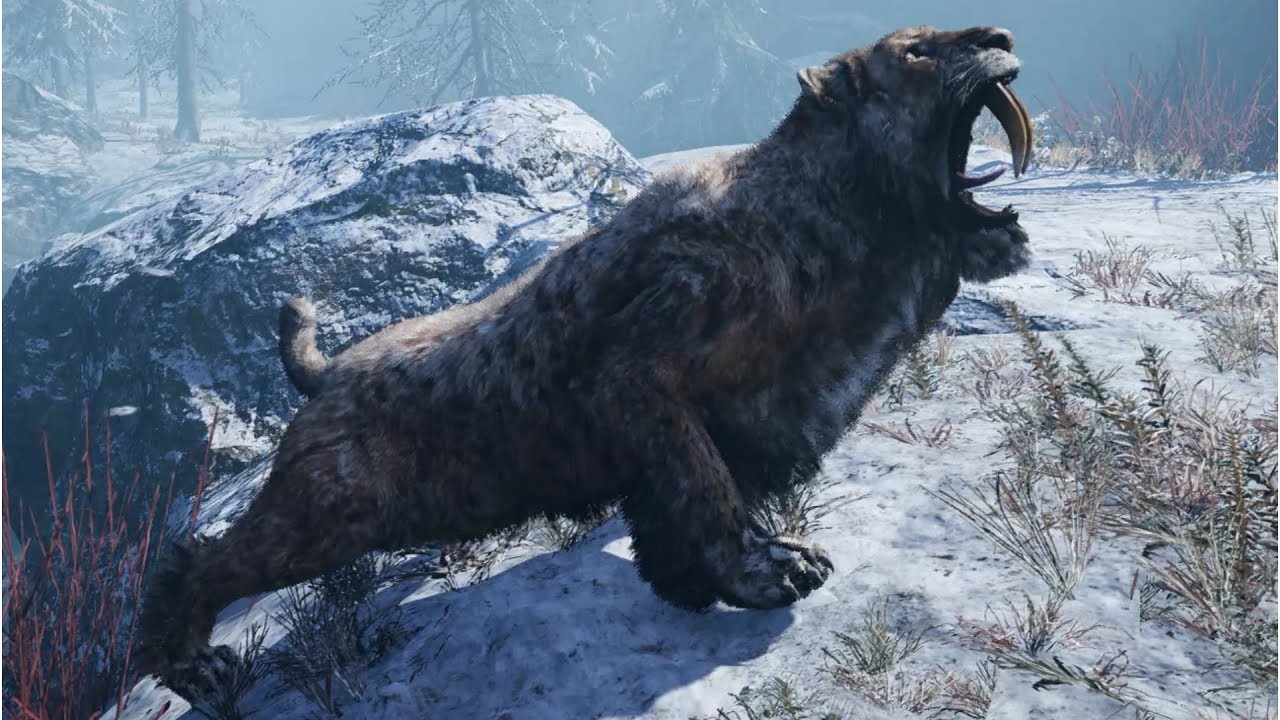One Day with a Smilodon - Behavior of a feral Sabertooth Tiger - Part 2 ...