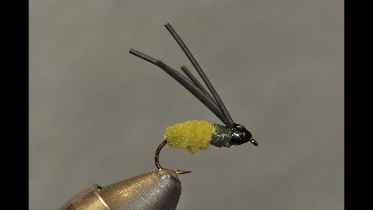 Bluegill Bully spider Reinforced - YouTube