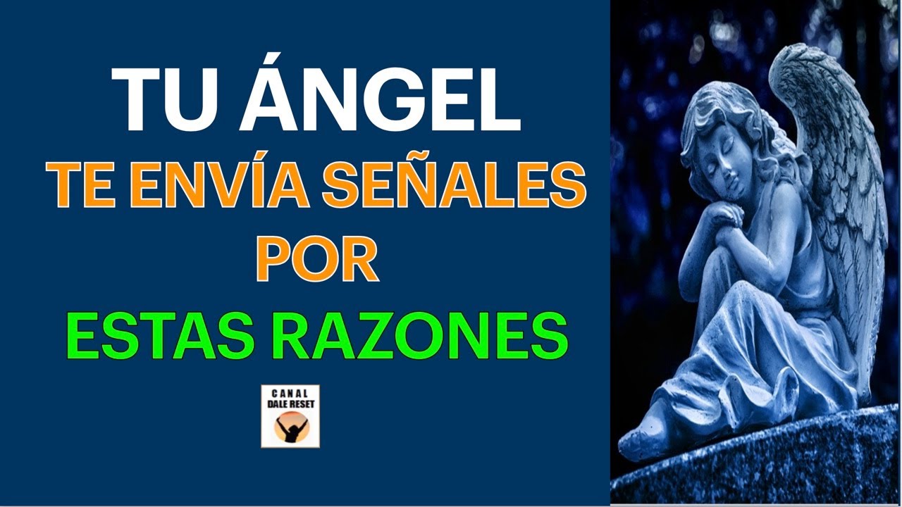😇 TU ÁNGEL Te Envía SEÑALES Por Estas IMPORTANTES RAZONES 🙌🏻 - YouTube