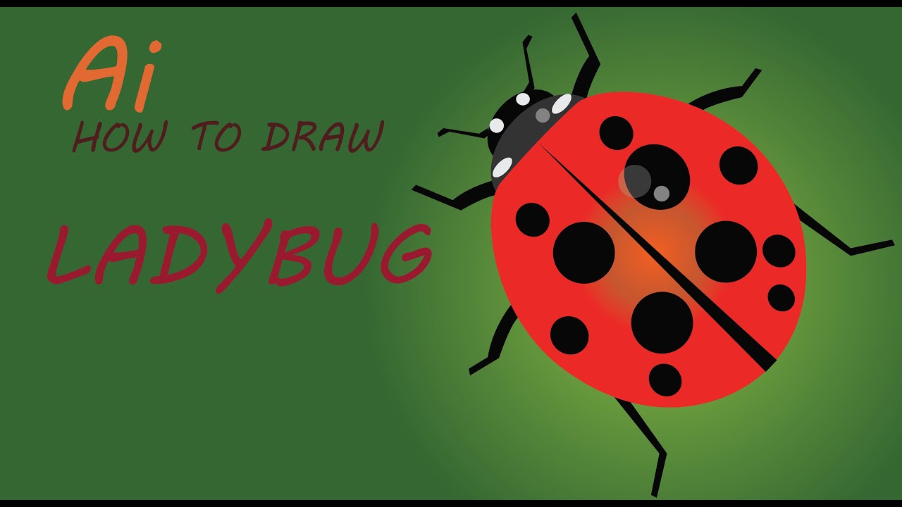 Draw a ladybug in adobeillustrator | tutorial in adobeillustrator - YouTube