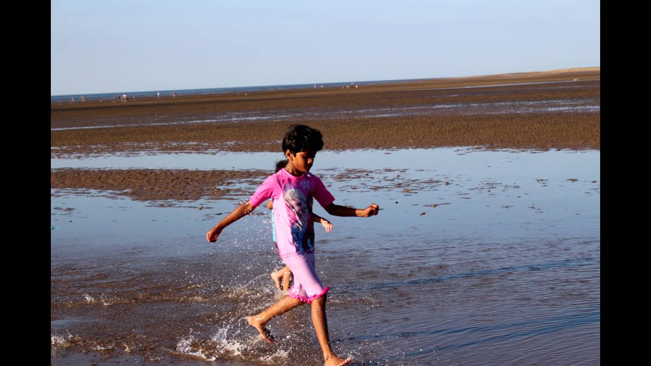 Trip To Lavender Field and Hunstanton Beach - YouTube