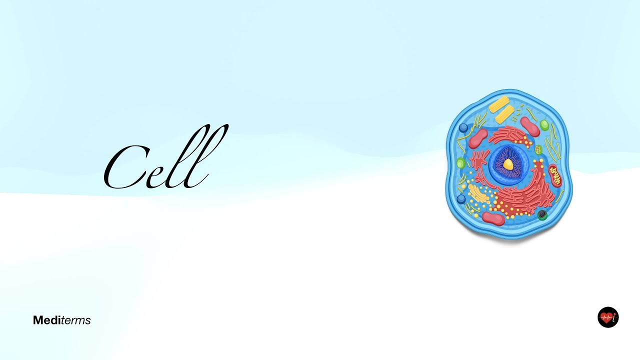 The word #cell - YouTube