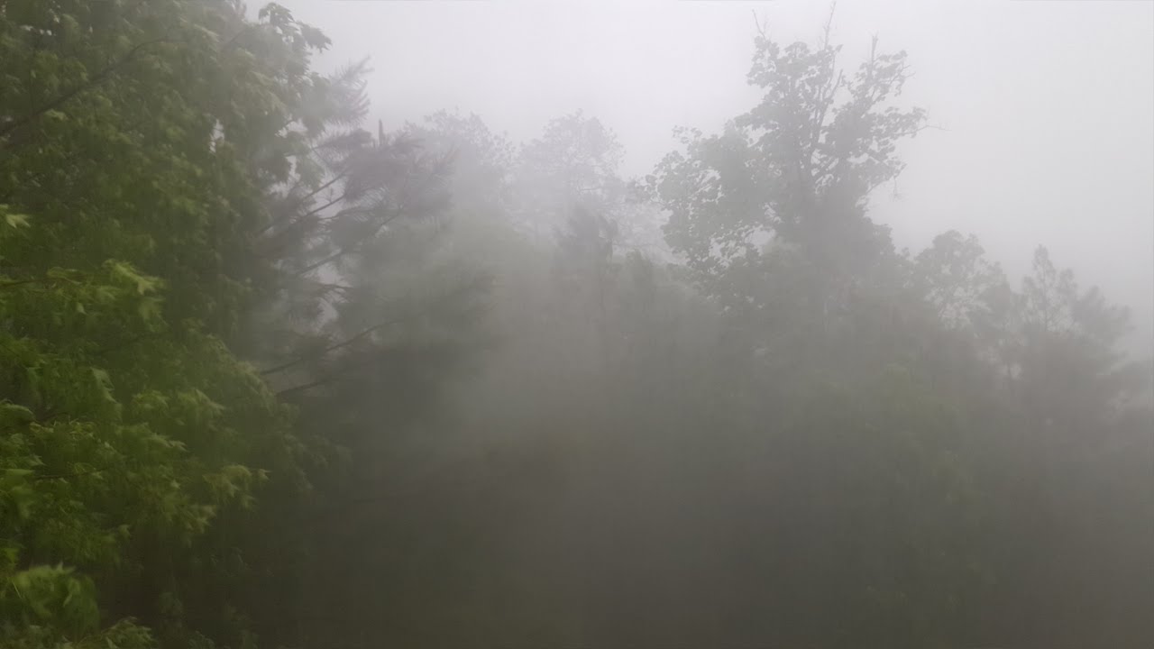 Inside an Intense Rainstorm!! ( In the Moment ) - YouTube