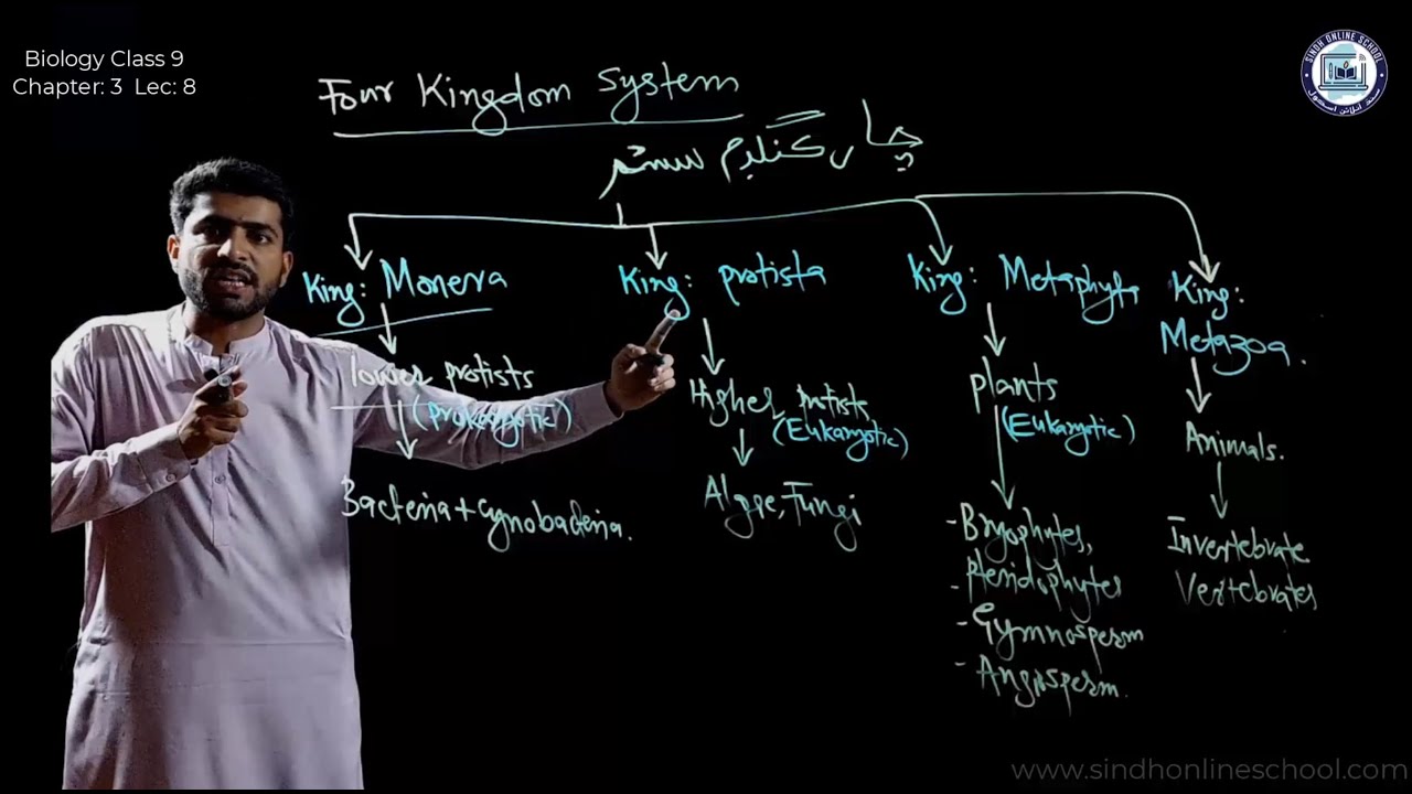 Four Kingdom System| Biology Class 9| Chapter 3| Lecture 8 | Sindh ...