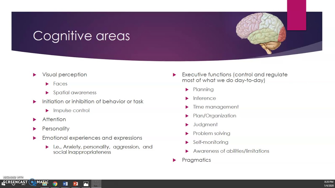 Cog anatomy - YouTube